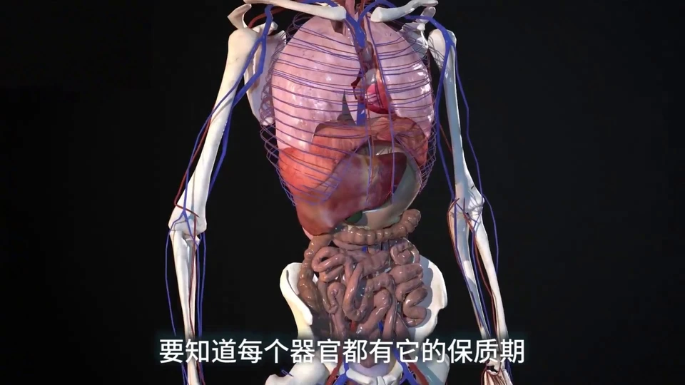 如果你可以多长一个器官，你想长什么？