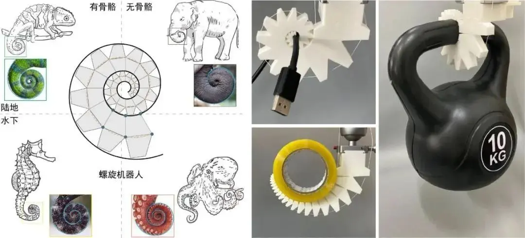 新型螺旋机器人，让“科幻走进现实”
