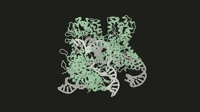 生成式AI进军基因编辑领域