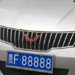 为“88888”车牌买20辆五菱！车主豁出去了，方法简单粗暴